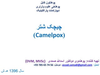 Camel pox | PDF | Infectious Diseases | Diseases and Conditions