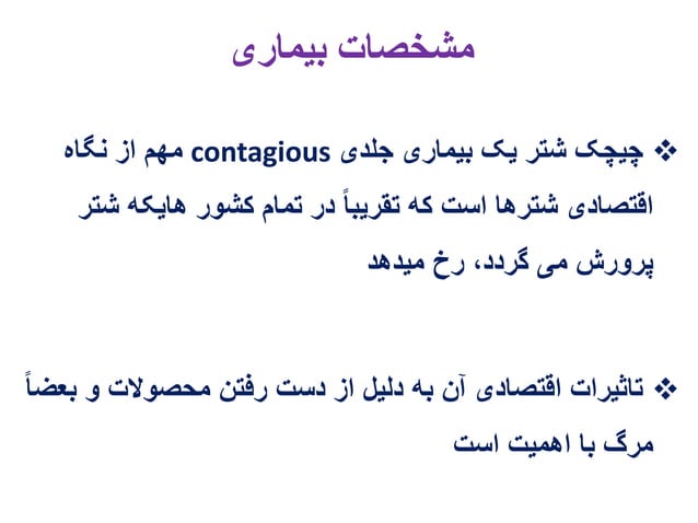 Camel pox | PDF | Infectious Diseases | Diseases and Conditions