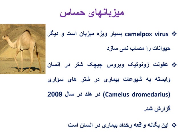 Camel pox | PDF | Infectious Diseases | Diseases and Conditions