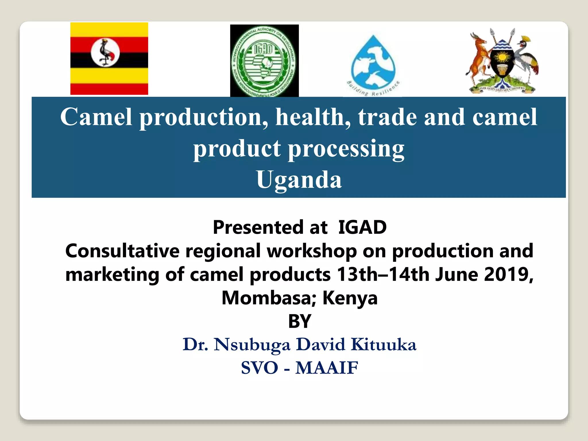Camel production, health, trade and camel product processing in uganda ...