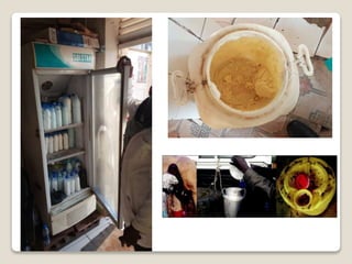 Camel production, health, trade and camel product processing in uganda ...