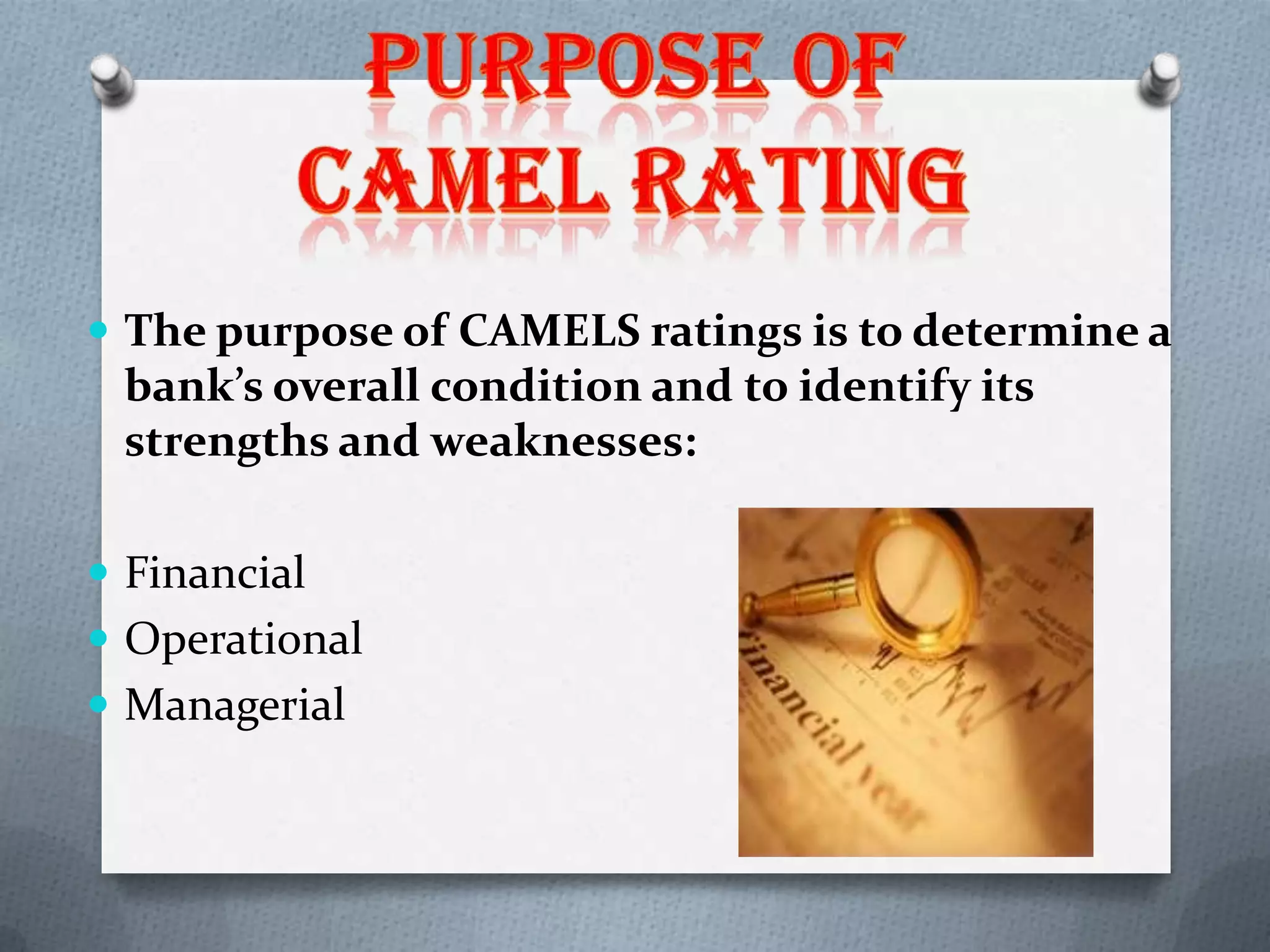 Camel rating | PPTX