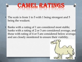 Camel rating | PPTX