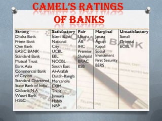 Camel rating | PPTX