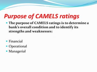 Camel ratings ppt | PPTX