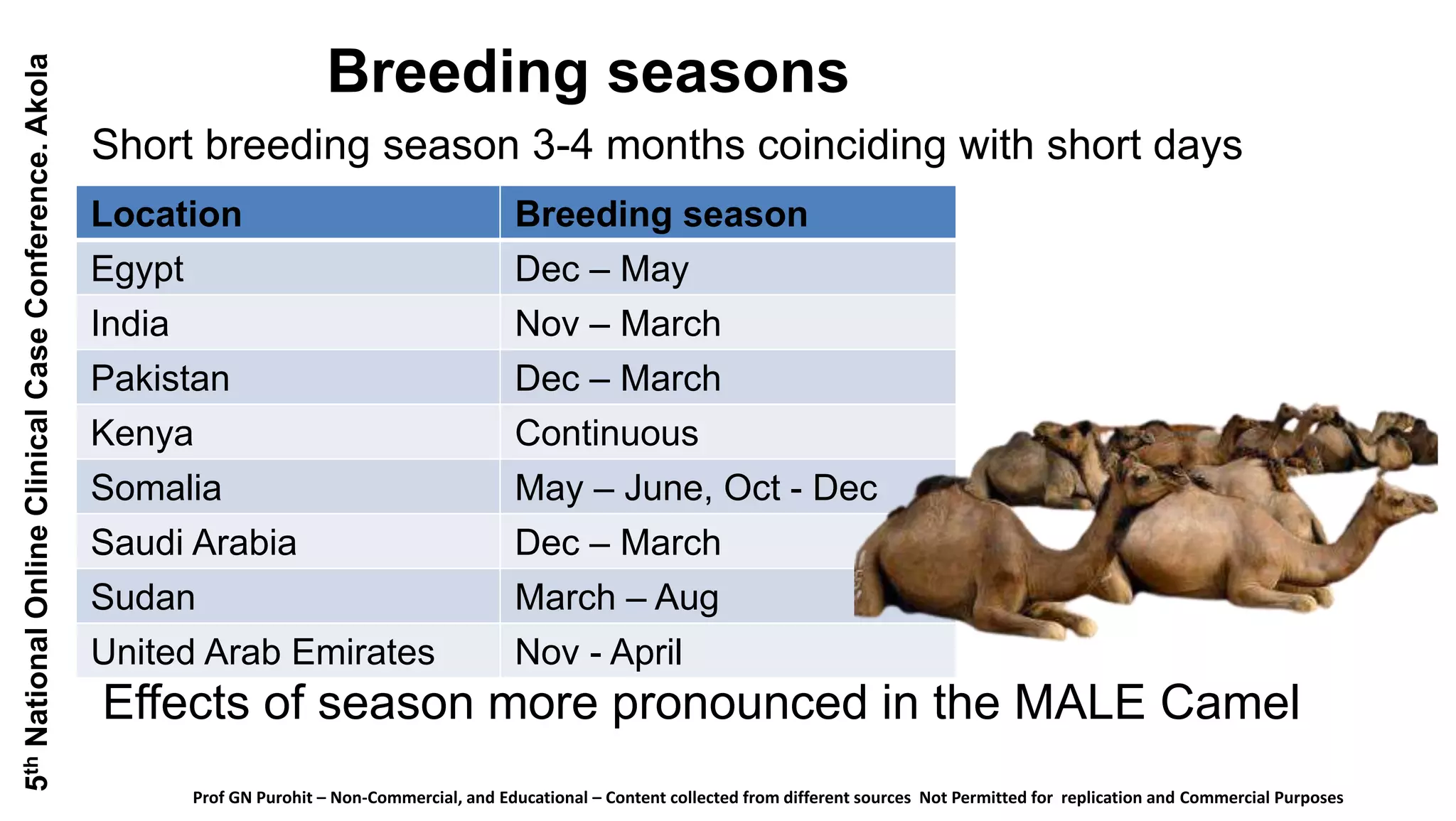 Camel reproduction some facts | PPTX
