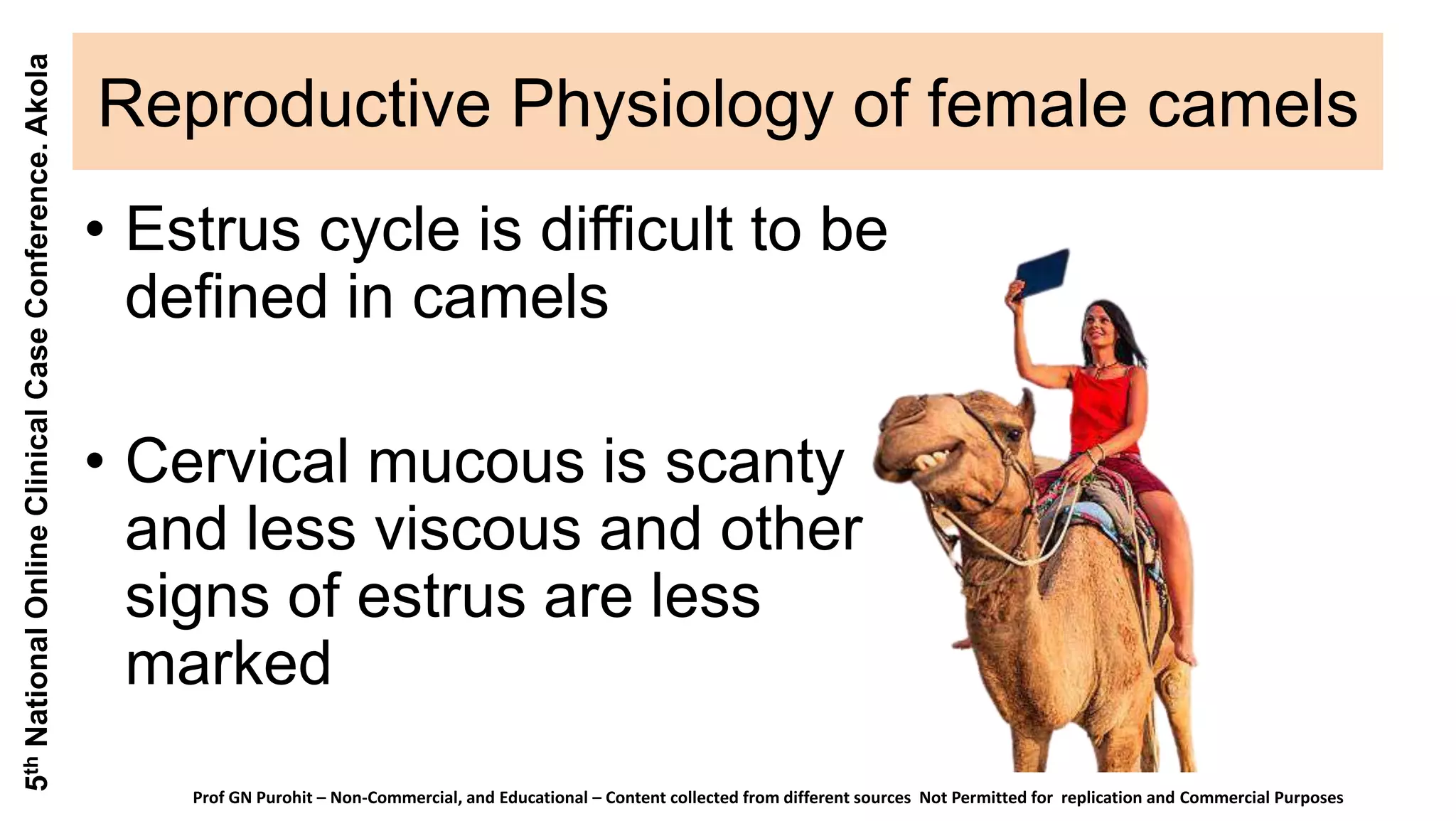 Camel reproduction some facts | PPTX