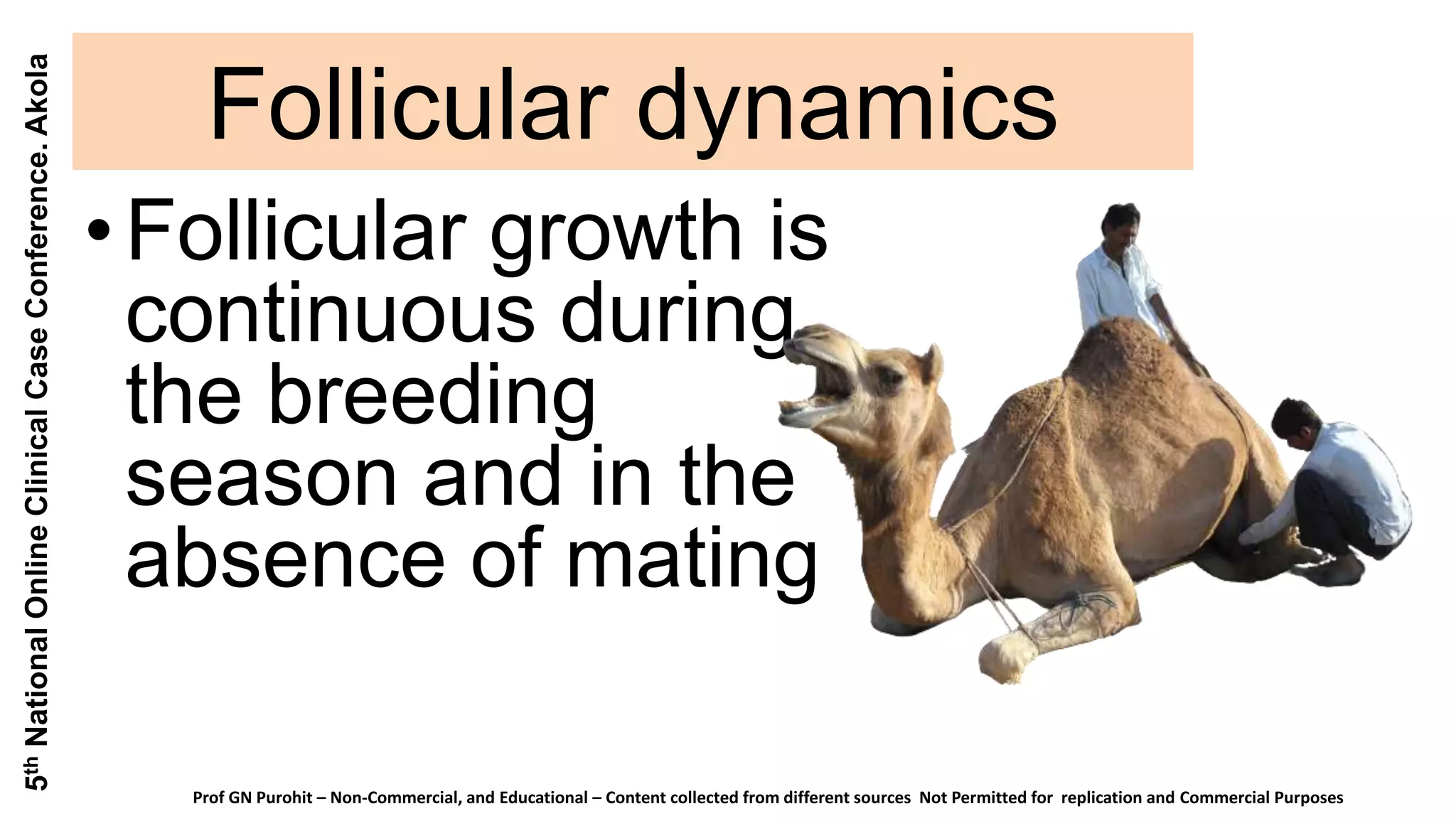 Camel reproduction some facts | PPTX