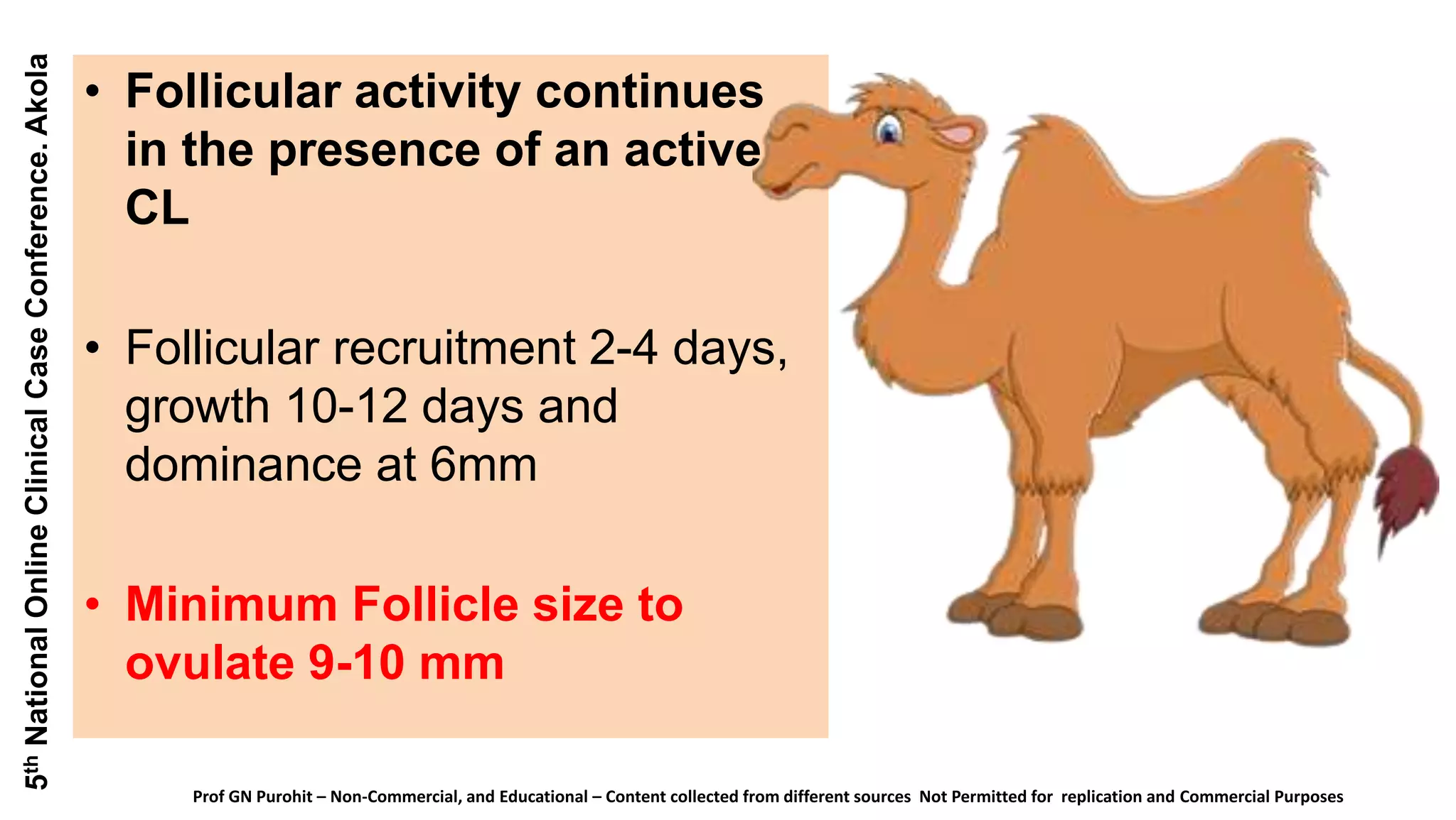 Camel reproduction some facts | PPTX