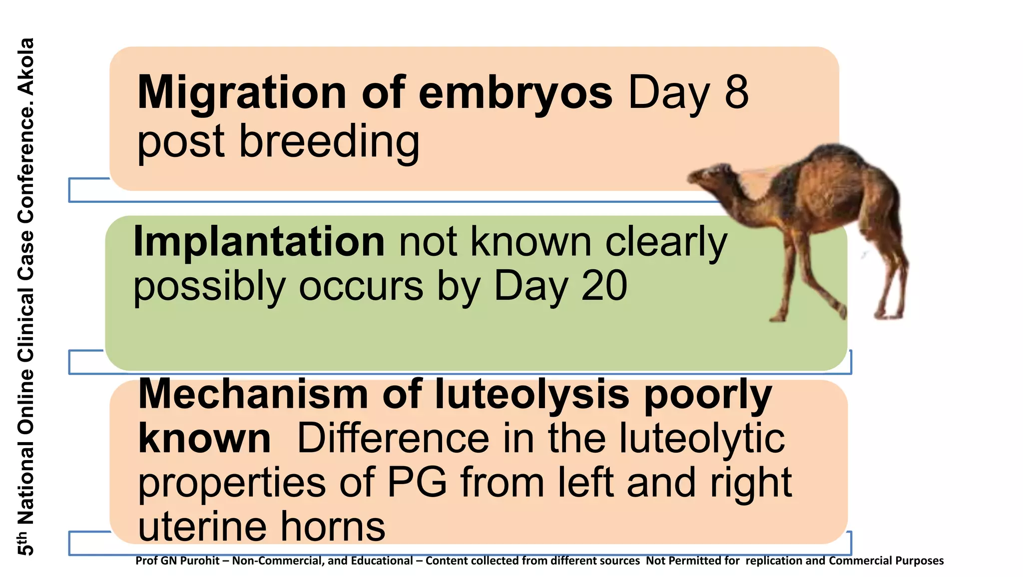 Camel reproduction some facts | PPTX
