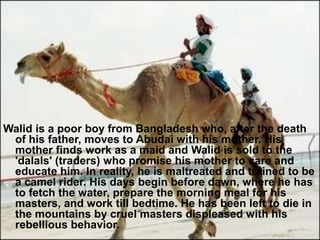 Camel rider book talk | PPTX