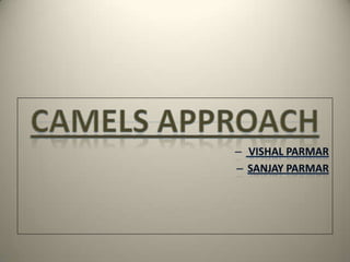 Camels approach | PPTX