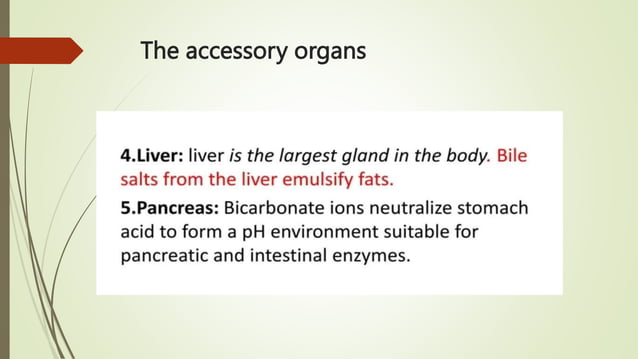 Camel’s digestive anatomy and physiology..pptx