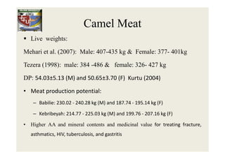 Camel sector in the somali regional state of ethiopia | PDF