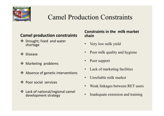 Camel sector in the somali regional state of ethiopia | PDF