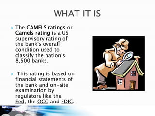 Camels Rating | PPTX