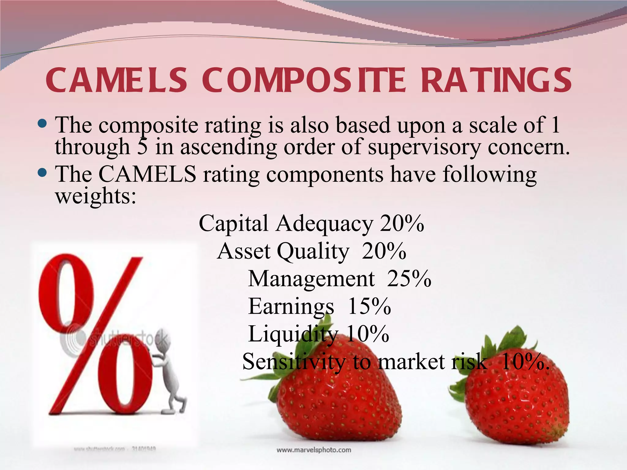 Camels rating system | PPT