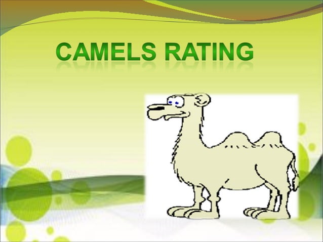 Camels rating system | PPT