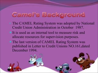 Camels rating system | PPT