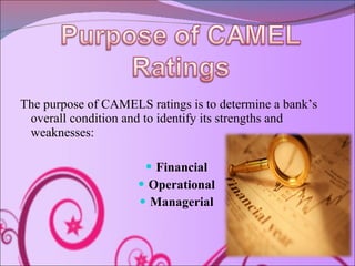 Camels rating system | PPT