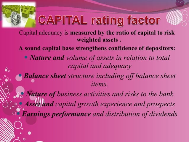 Camels rating system | PPT