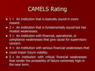Camels rating | PPT