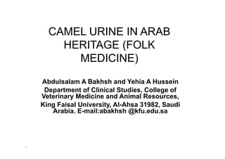 Camel urine in arab heritage (folk medicine | PPT