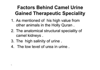 Camel urine in arab heritage (folk medicine | PPT