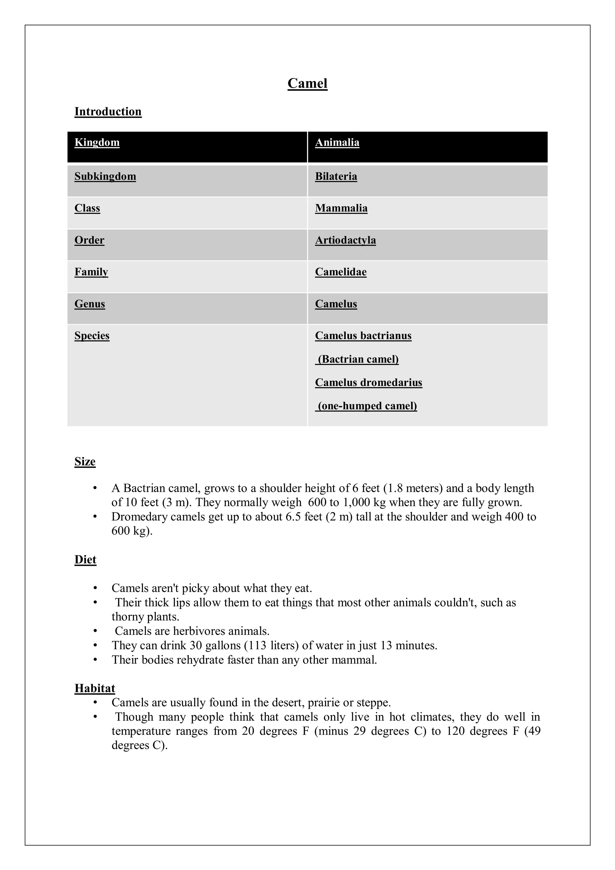 Camel word | PDF