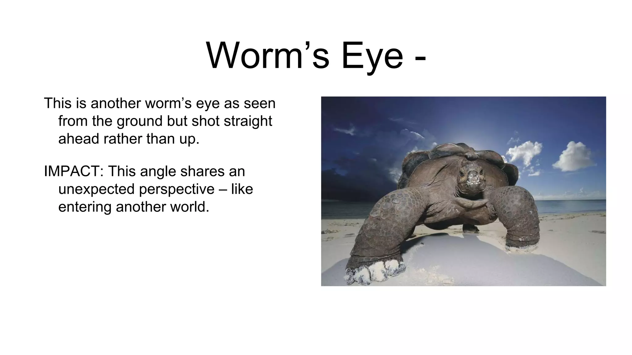 Camera Language | PPTX