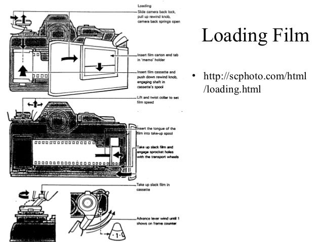 Anatomy Of Camera