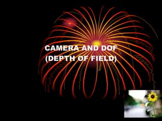 Camera and dof | PPT