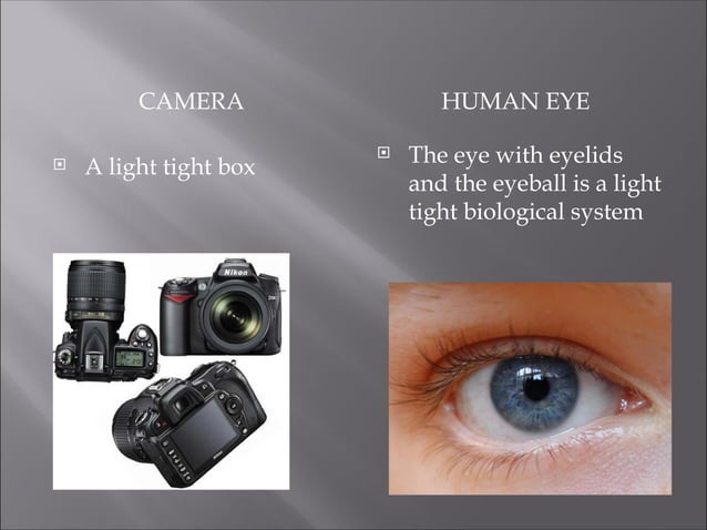 Camera and Human Eye similarities to understand the function of a ...