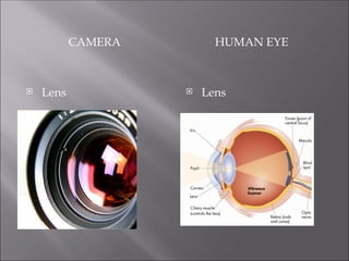 Camera and Human Eye similarities to understand the function of a ...