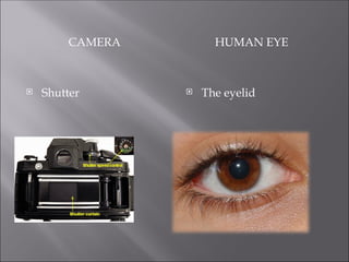 Camera and Human Eye similarities to understand the function of a ...