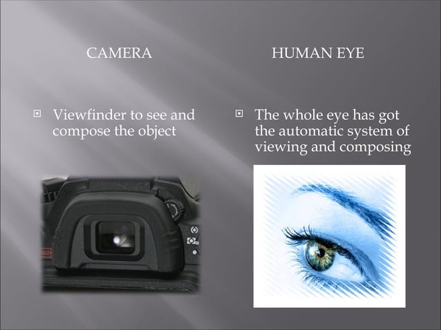 Camera and Human Eye similarities to understand the function of a ...
