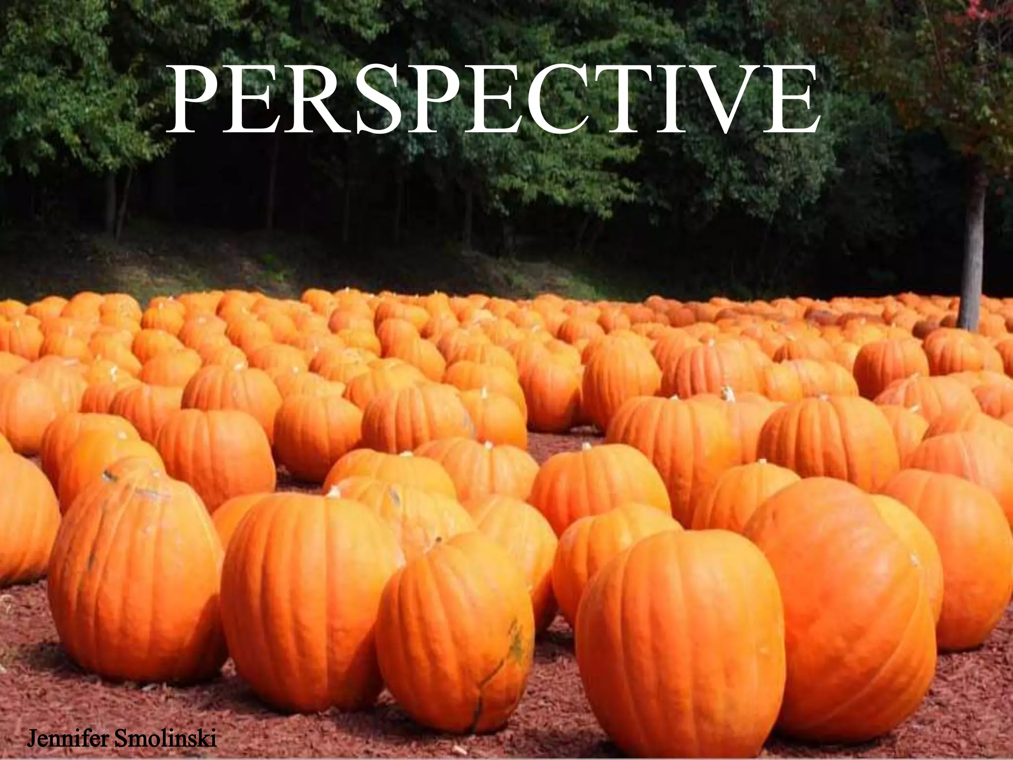 Camera assignment #4 | PPT