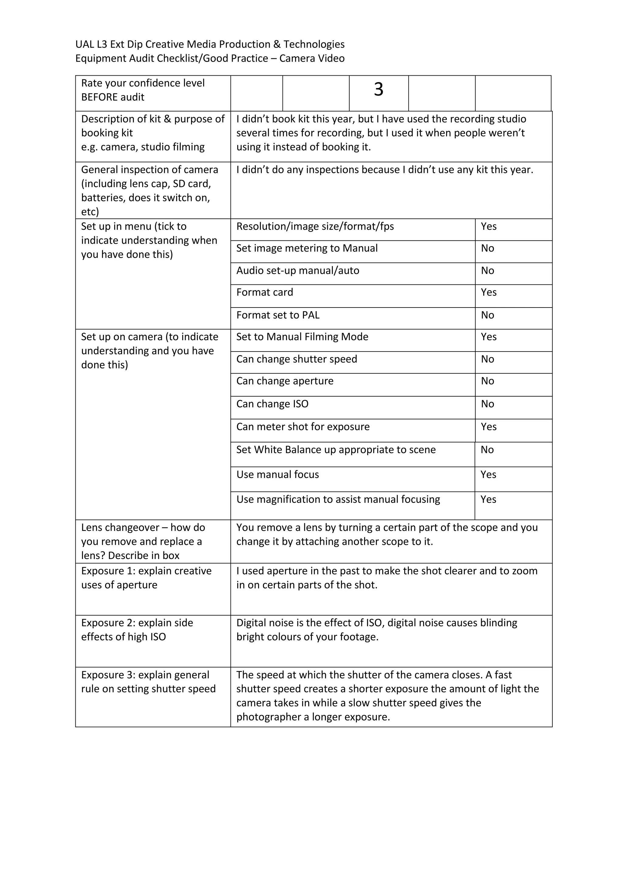 Camera Audit Form Blank.docx