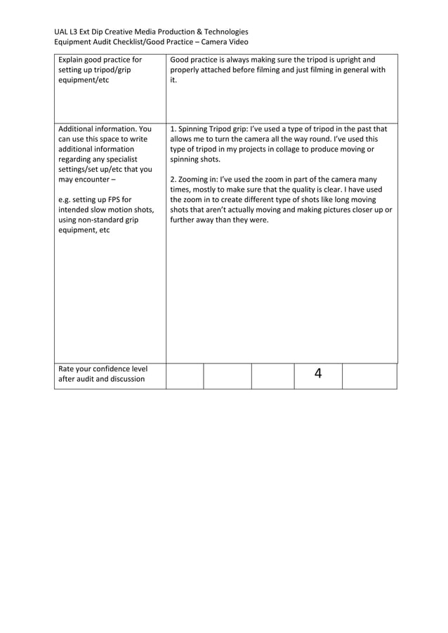 Camera Audit Form Blank.docx