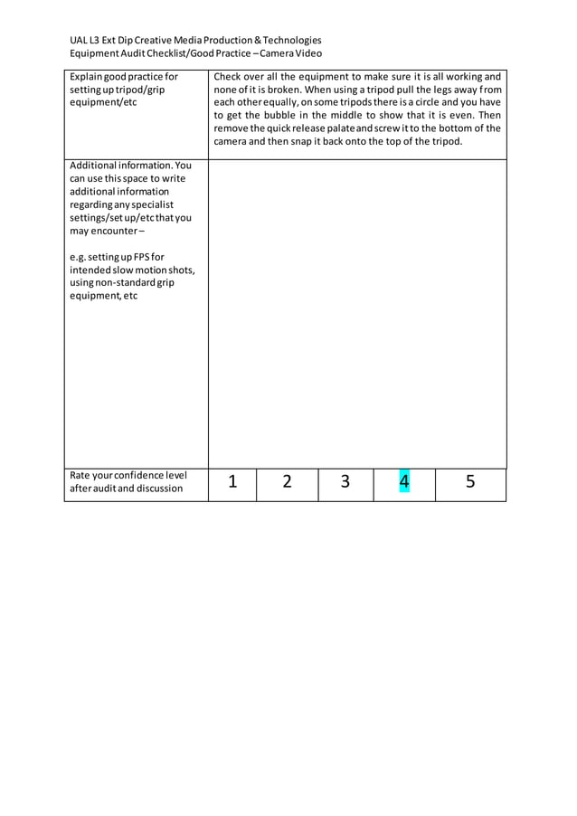 Camera audit form blank(1) | PDF