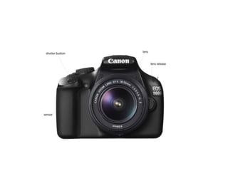 Camera labeling. | PPT