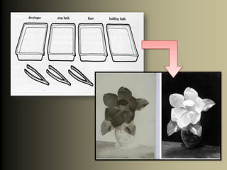 Camera obscura pinhole | PDF