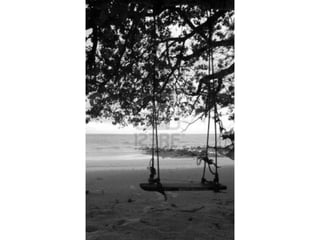 Camera Orientation | PPT