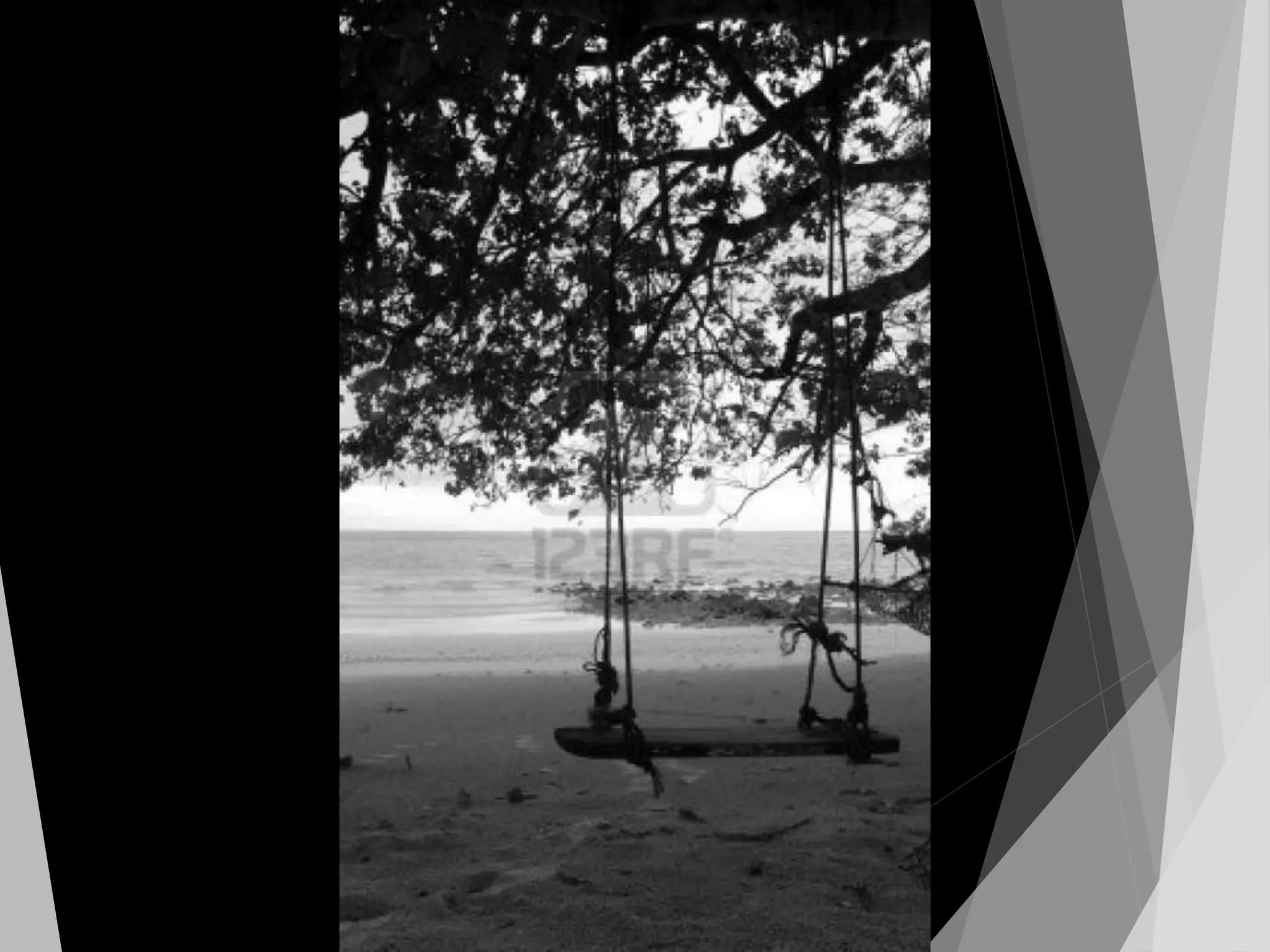 Camera Orientation | PPTX