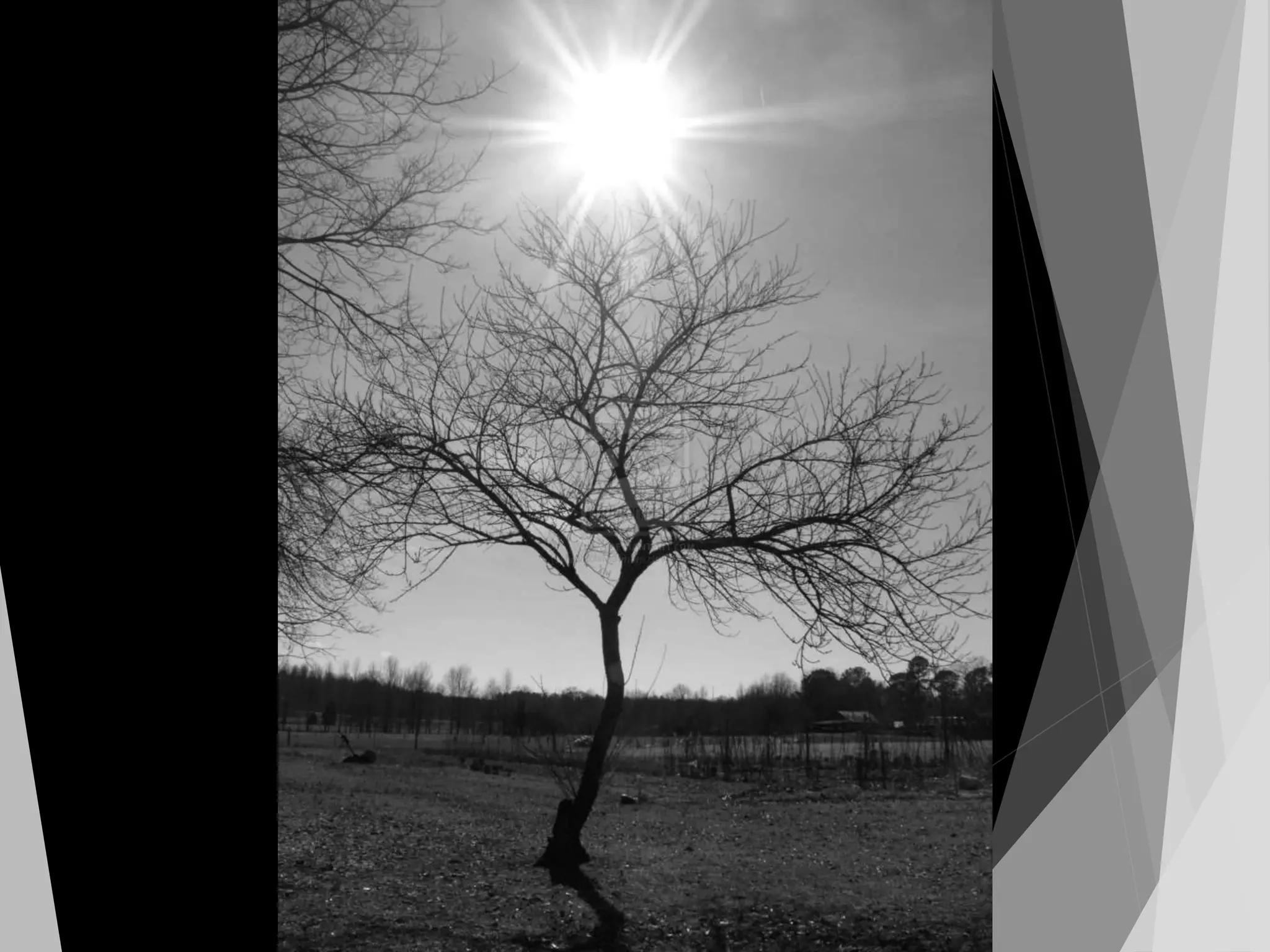 Camera Orientation | PPTX