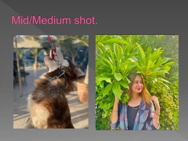 Camera shot categories.pptx