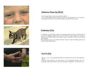 Camera shots a visual guide | PPT