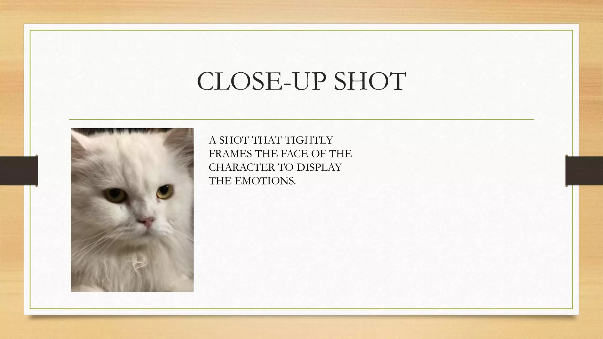 CAMERA SHOTS AND ANGLES.pptx AS ASSIGNMENT WARISHA.pptx