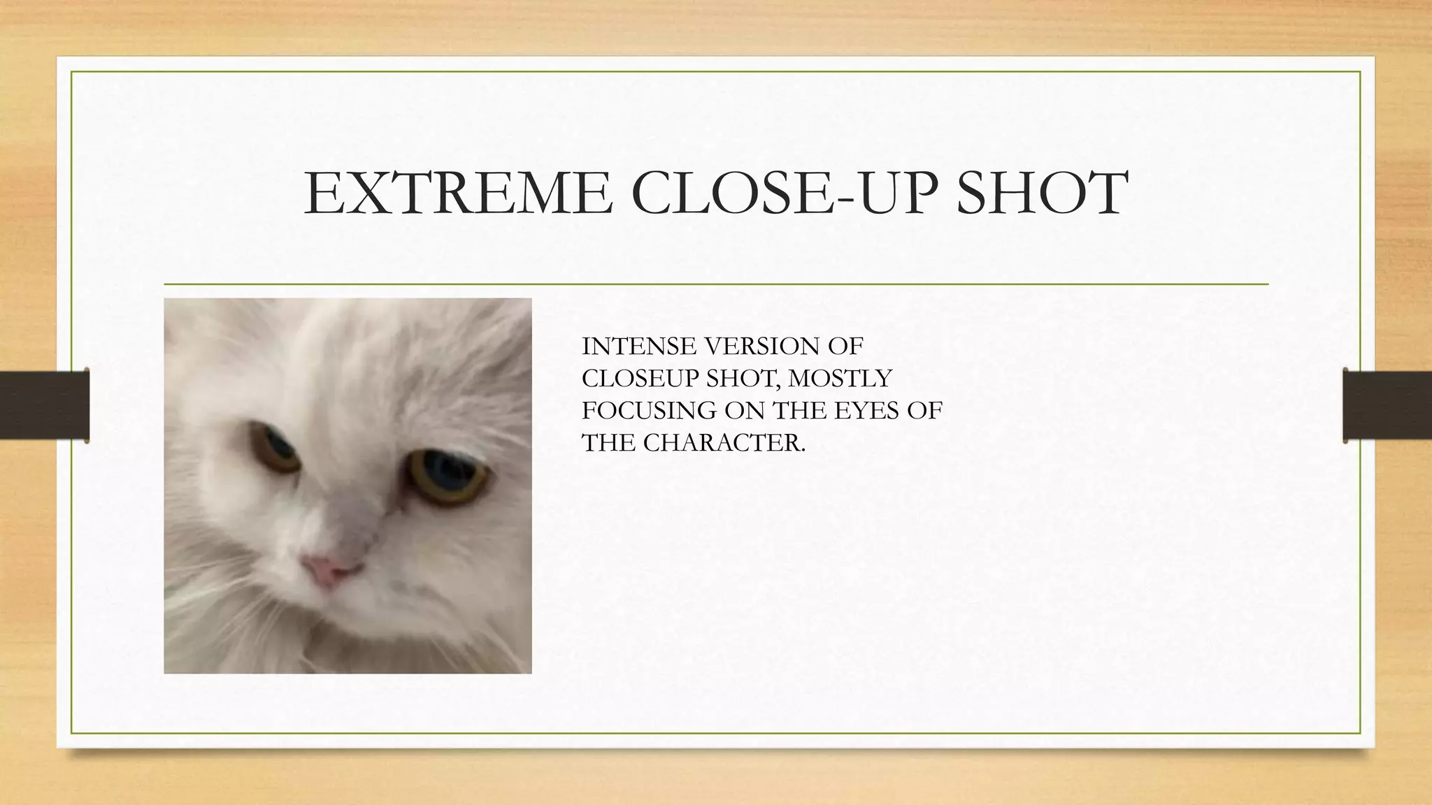 CAMERA SHOTS AND ANGLES.pptx AS ASSIGNMENT WARISHA.pptx