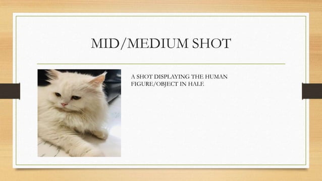 CAMERA SHOTS AND ANGLES.pptx AS ASSIGNMENT WARISHA.pptx